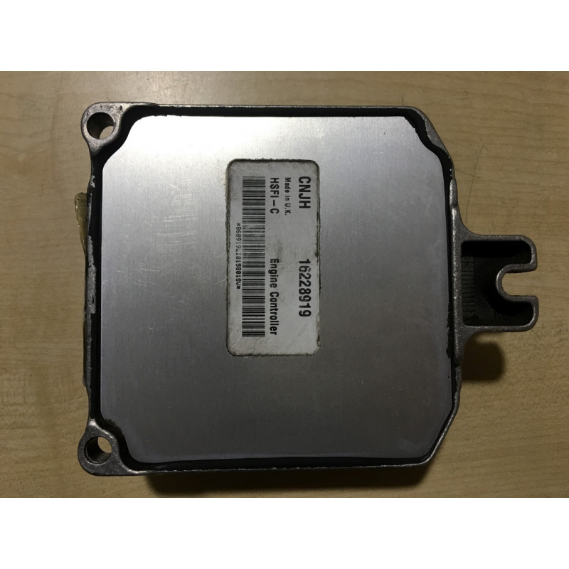 ENGINE ECU DELPHI DELCO HSFI-C OPEL 16228919 CNJH